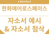한화에어로스페이스 채용 자기소개서 컨설팅 자소서항목 입사후포부 핵심가치 인재상 네이버 블로그